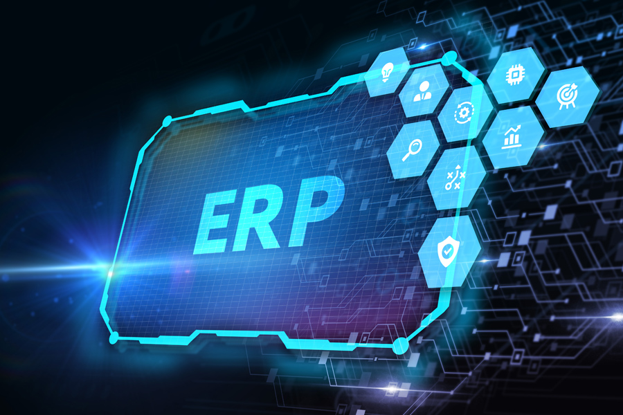 ERP Bolt-On MDM이란? | 인사이트리포트 | 삼성SDS